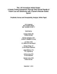 The_LIM_Innovations_Infinite_Socket_White_Paper | LIM Innovations